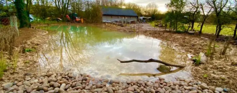 How to Protect Pond Fish from Predators? {8 Proven Methods}