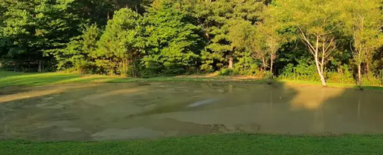 How to Clean Sludge from Bottom of Pond {The Top 4 Methods Explained}