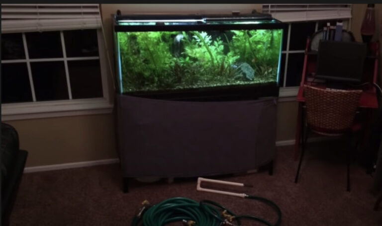 Can You Fill a Fish Tank with A Garden Hose
